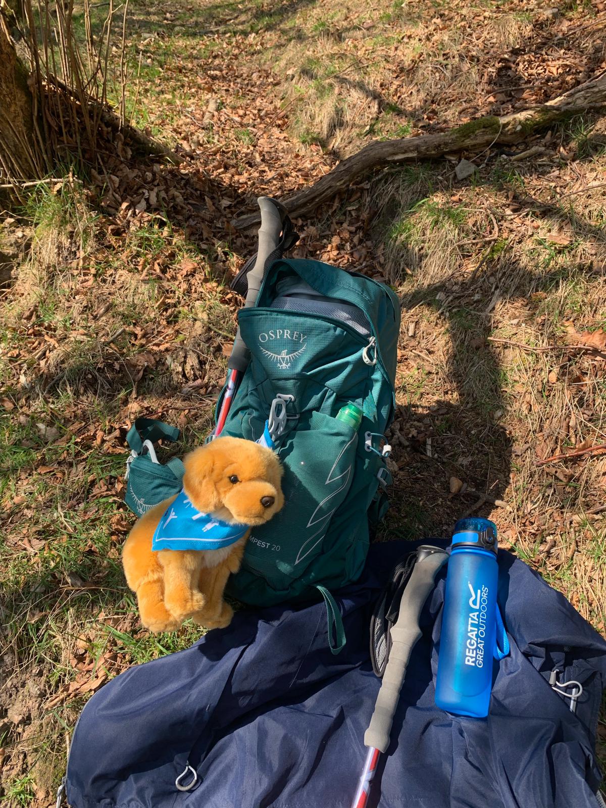 National Walking Month - Sue's updates from the South West Coast