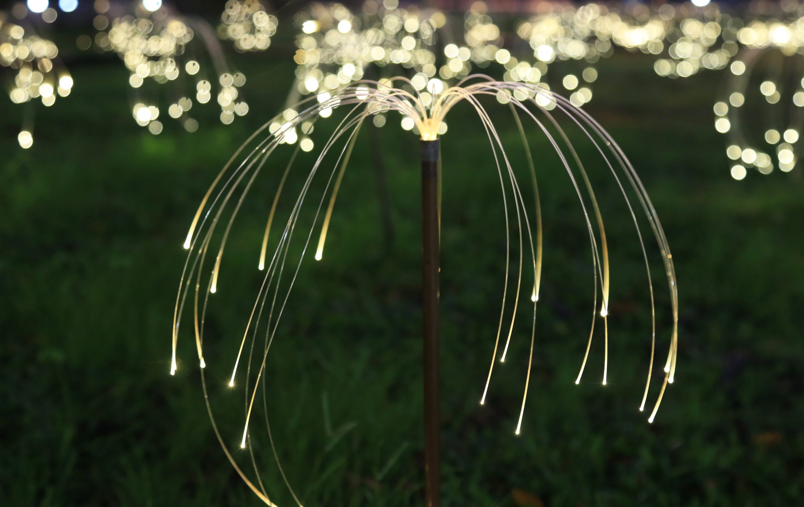 Dorothy House Fireflies doubled