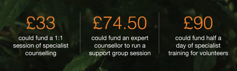 Dorothy House Fireflies doubled