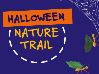 Halloween Nature Trail - Dorothy House