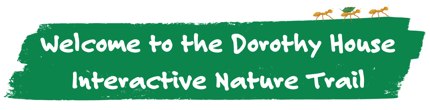 Interactive Nature Trail - Dorothy House