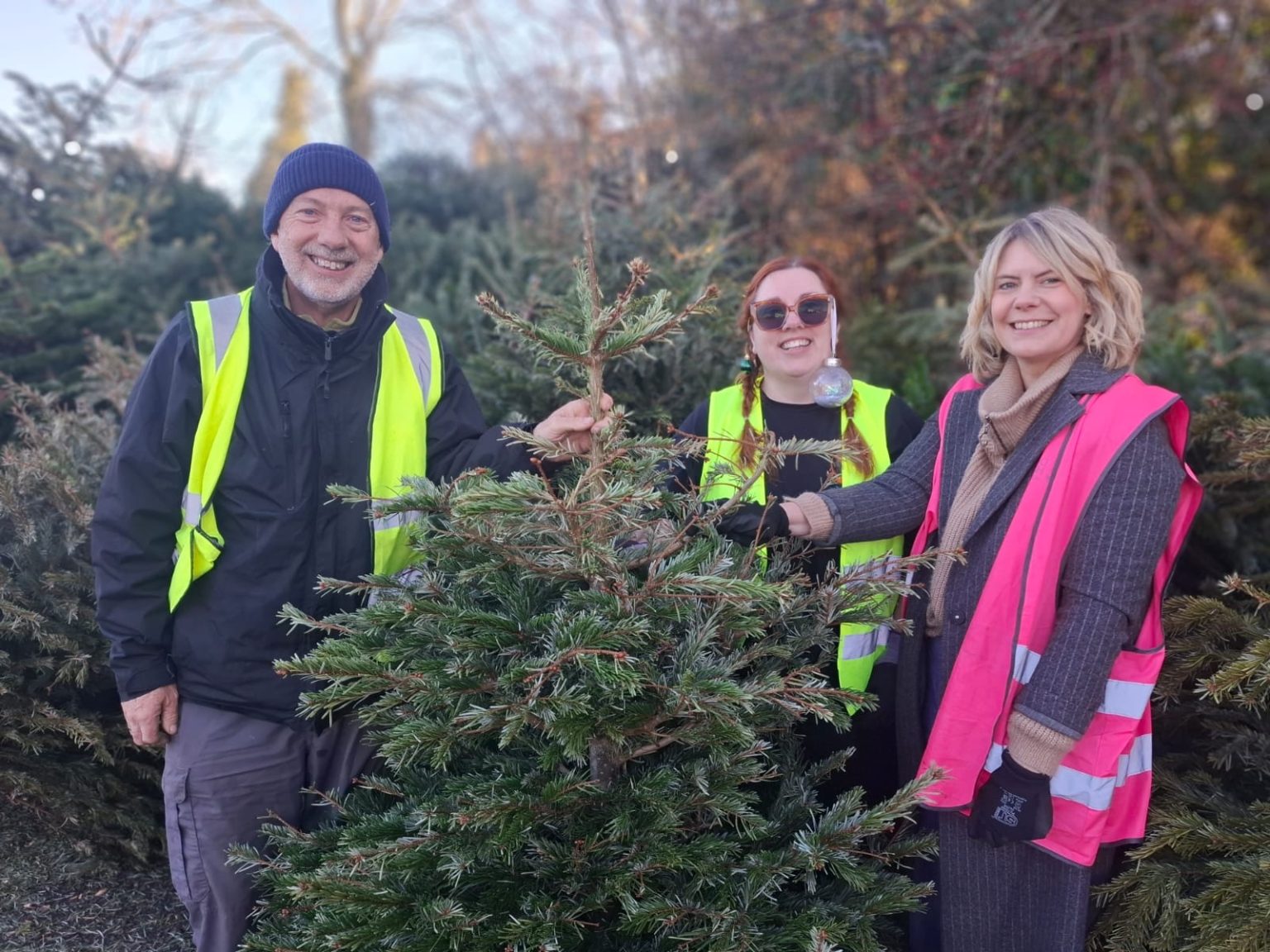 Record Christmas Tree Collection - Dorothy House
